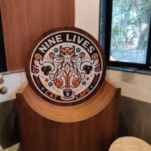 Pune's First Premier Cat Café | Best Cafe In Fc Road Pune