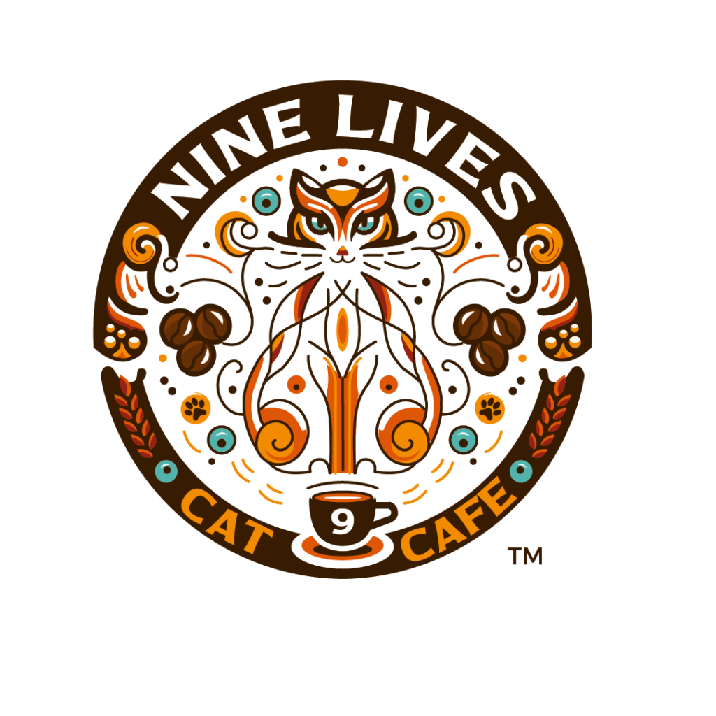 Pune's First Premier Cat Café | Best Cafe In Fc Road Pune