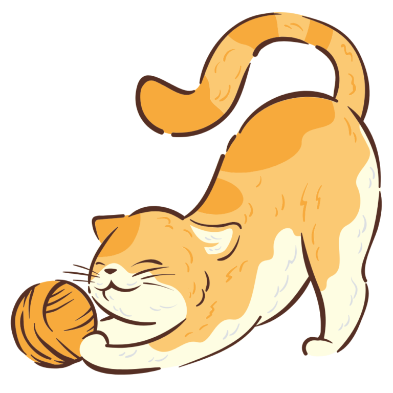 Pune's First Premier Cat Café | Best Cafe In Fc Road Pune